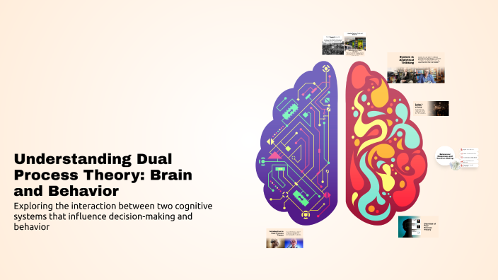 Understanding Dual Process Theory: Brain and Behavior by Rennie ...