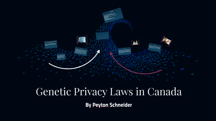 Genetic Privacy Laws in Canada by Peyton Schneider on Prezi