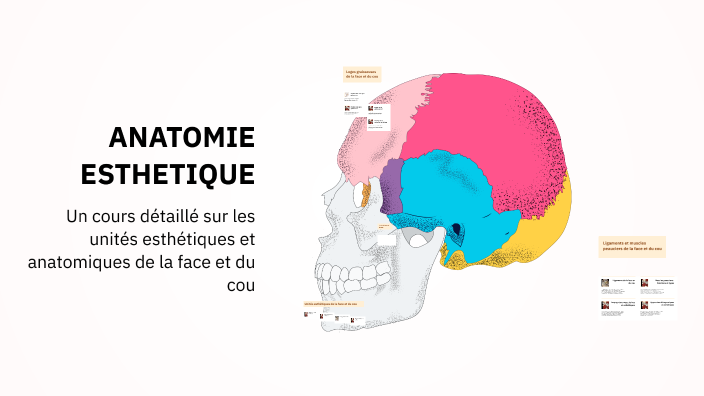 ANATOMIE ESTHETIQUE by Fayçal Rahal on Prezi