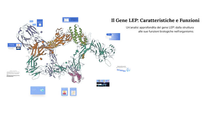 Il Gene LEP: Caratteristiche e Funzioni by Giulia Grego on Prezi