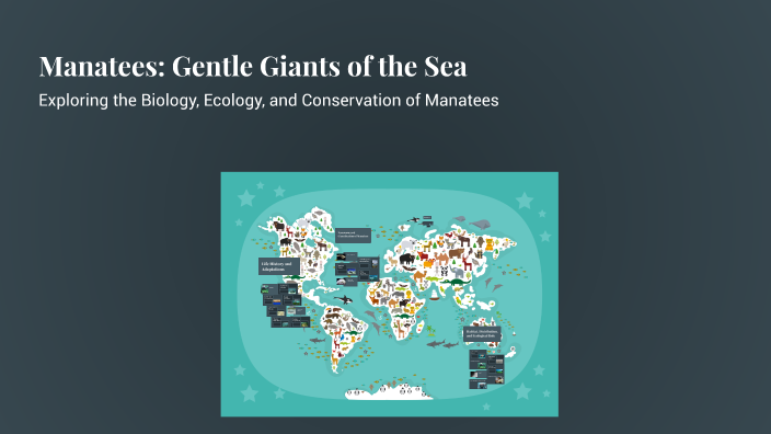 Manatees: Gentle Giants of the Sea by Griffing David on Prezi