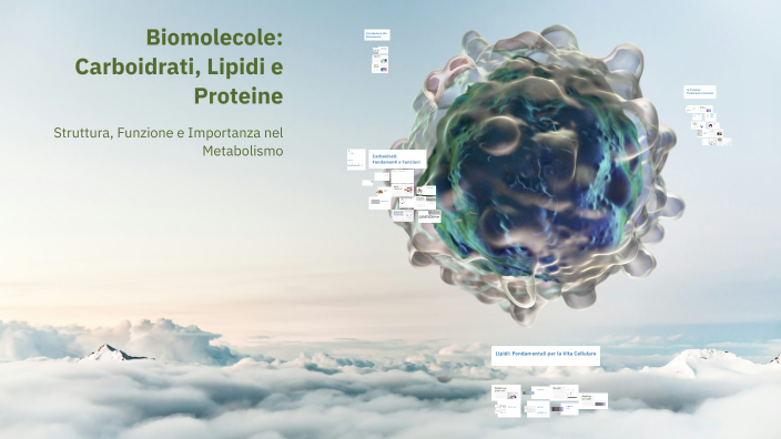Biomolecole: Carboidrati, Lipidi e Proteine by Luca Giordano on Prezi