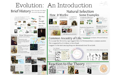 AP Bio- Evolution 1: Introduction to Evolution by David Knuffke on Prezi