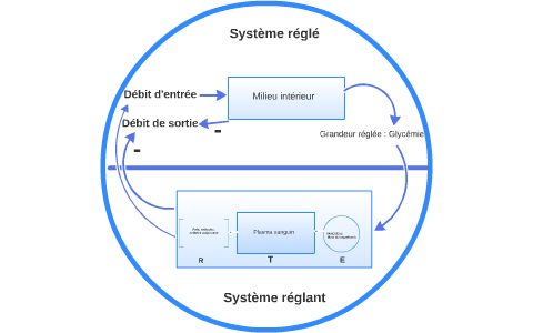 Milieu intérieur by Lola Testevuide on Prezi