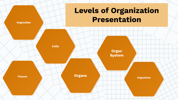 Levels of Organization Presentation by Phoenix Ho on Prezi