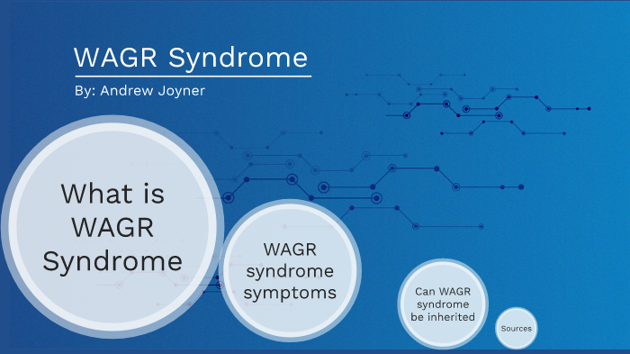 WAGR Syndrome by ANDREW JOYNER on Prezi