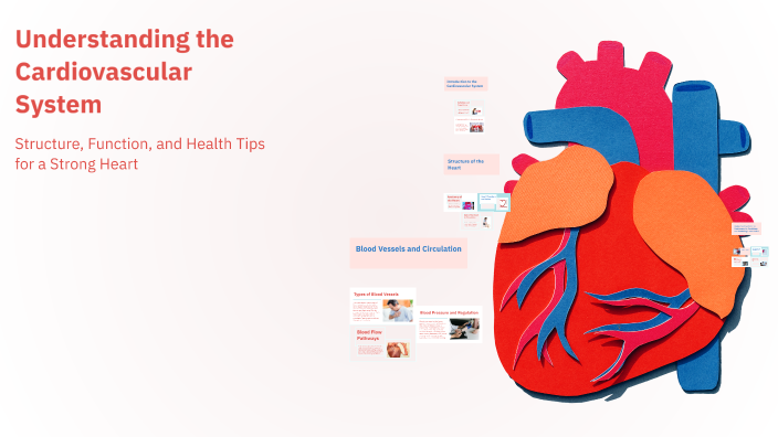 Understanding the Cardiovascular System by OHP F on Prezi