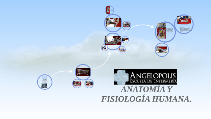 ANATOMÍA Y FISIOLOGÍA HUMANA by Sury Sanchez on Prezi