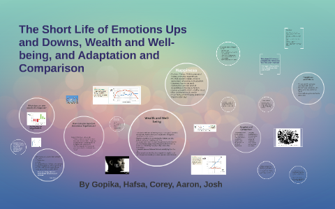 The Short Life of Emotions Ups and Downs, Wealth and Well-be by Hafsa ...