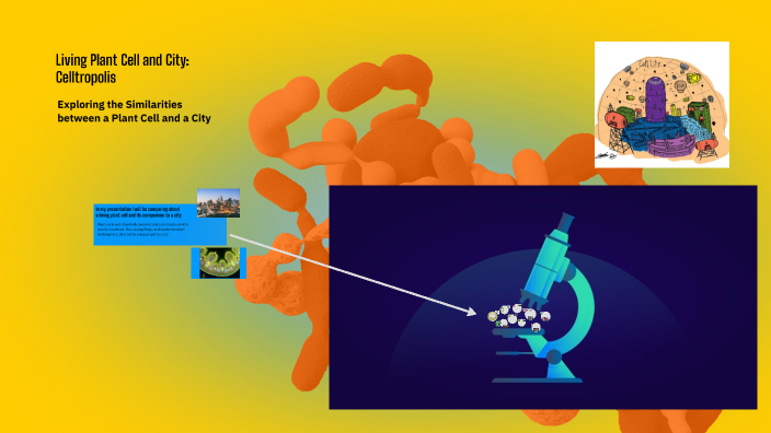 Living Plant Cell and City: An Analogy by rodrigo botello on Prezi