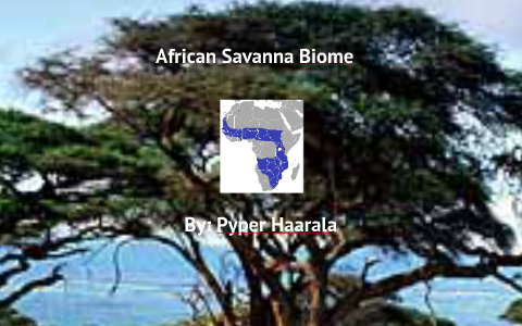 African Savanna Biome by Pyper Haarala