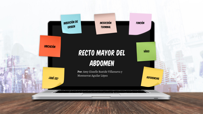Recto mayor del abdomen by Amy Gisselle Bastide Villanueva on Prezi