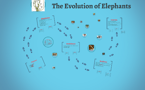 The Evolution of Elephants by Cassandra Mitchell on Prezi