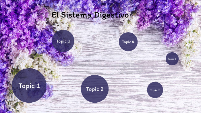 sistema digestivo by kateri hunter on Prezi