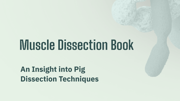 Muscle Dissection Book by Emmanuel Cortez on Prezi