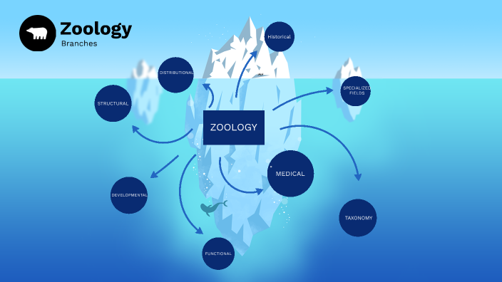 Branches of Zoology by Jerome Dimaranan on Prezi