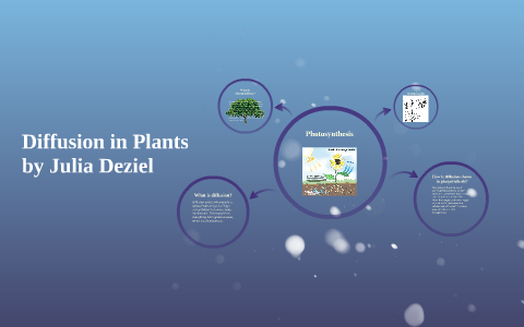 Diffusion in Plants: by Julia Deziel on Prezi