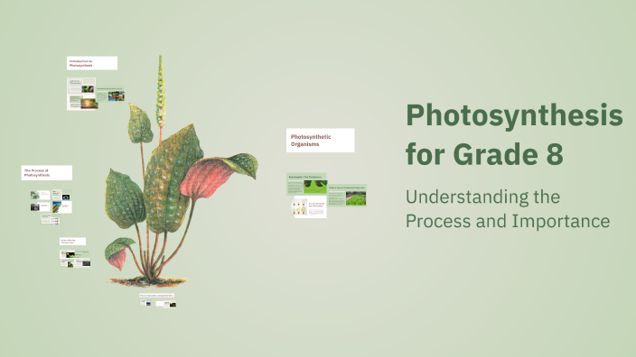 Photosynthesis for Grade 8 by Jenanda Swart on Prezi