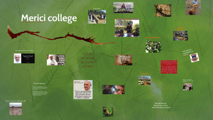 Merici college by anna wearden on Prezi
