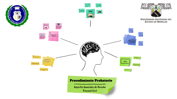 Actividad 11. Prezi: Procedimiento probatorio by on Prezi