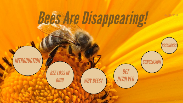 Bees are Disappearing! by Jordan Shearer on Prezi