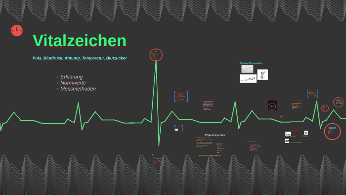 Vitalzeichen by Katharina Anna Funder on Prezi