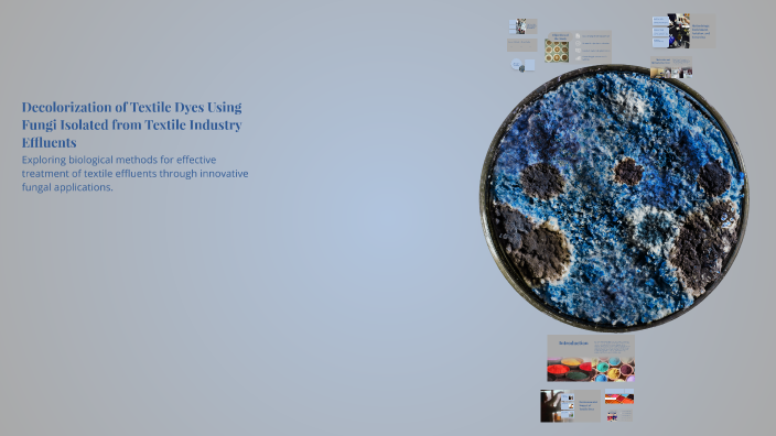 Decolorization of Textile Dyes Using Fungi Isolated from Textile ...