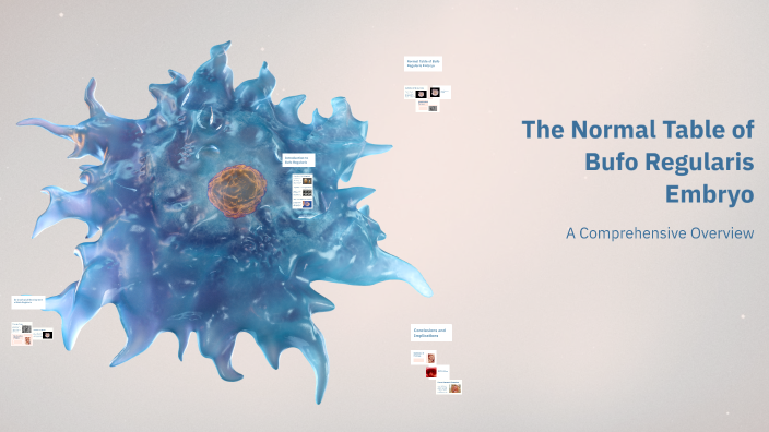 The Normal Table of Bufo Regularis Embryo by laila on Prezi