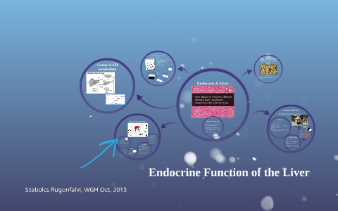 Endocrine Function of the Liver by Szabolcs Rugonfalvi on Prezi