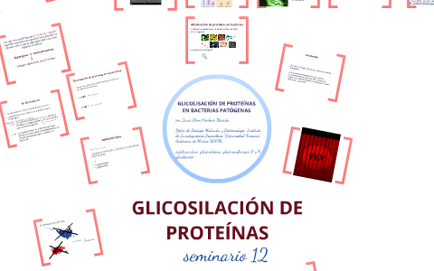 Glicosilación de proteínas en bacterias by Caroline Zúñiga on Prezi