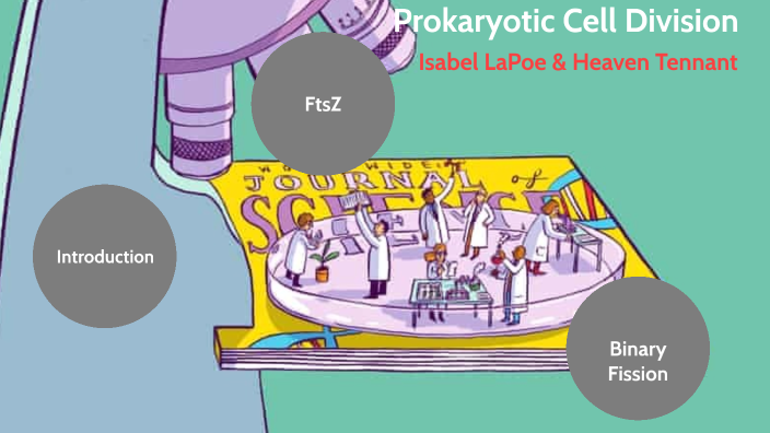 Prokaryotic Cell Divsion by Isabel Lapoe on Prezi