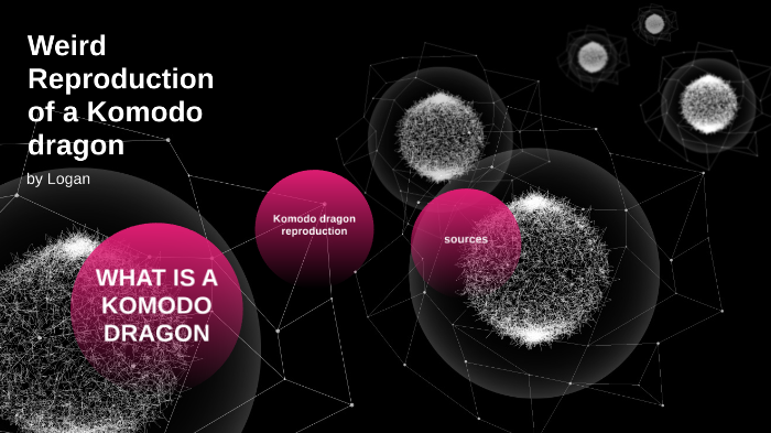 Weird Animal Reproduction by Logan Blashko on Prezi