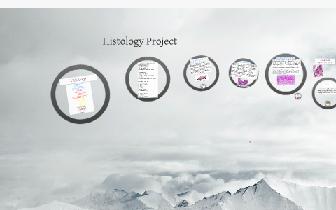 Histology Project by on Prezi