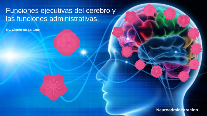 Funciones Ejecutivas del cerebro by Giseht paola De la cruz on Prezi