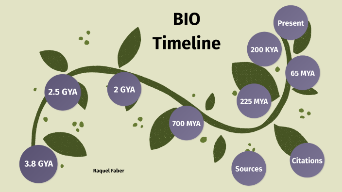 BIO Timeline by Raquel Faber on Prezi