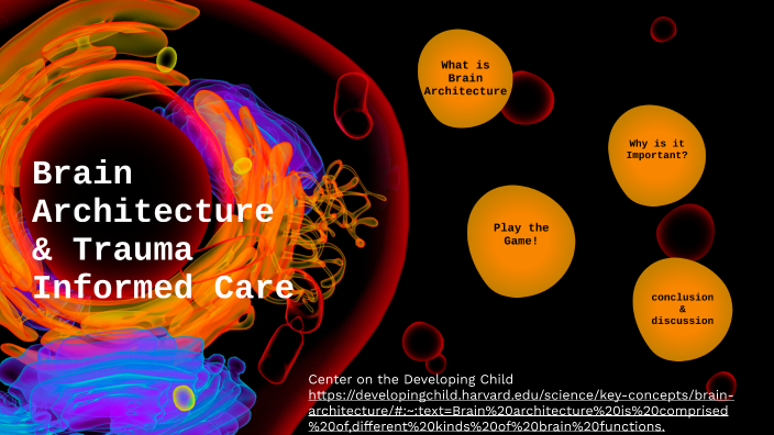 Brain Architecture Game by Gabrielle Payne on Prezi