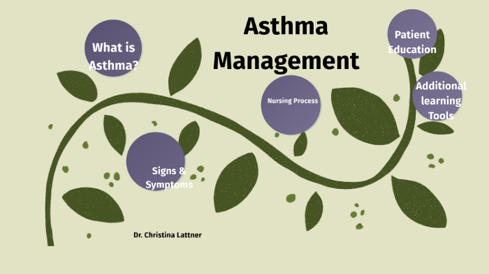 Asthma Concept Map by Christina Lattner on Prezi