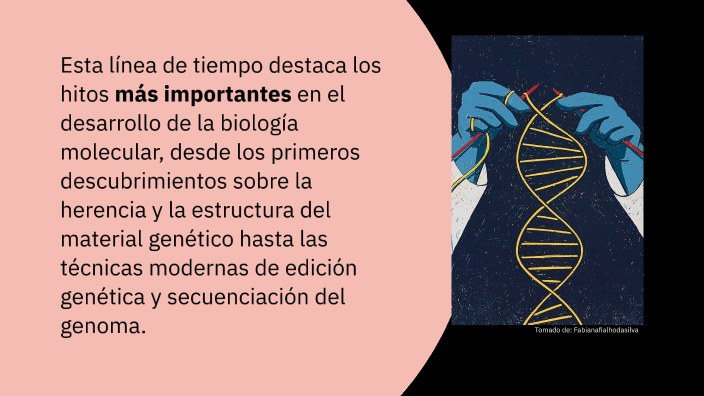 Timeline BM by Sofia Gaviria Londoño on Prezi