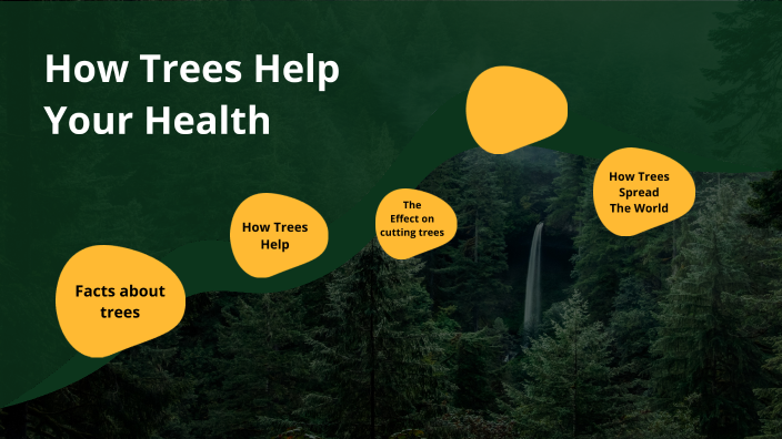 How Trees Help Your Health by Haleigh Hammond on Prezi