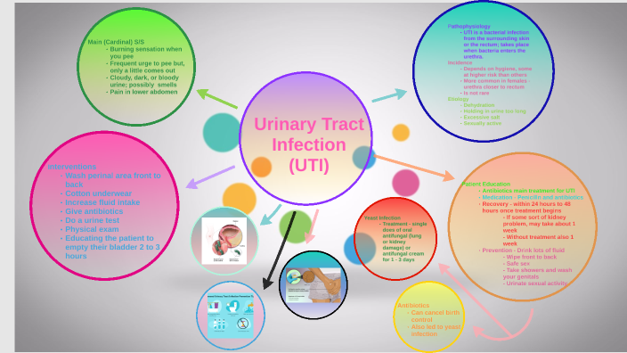 Concept Map - UTI by Happy Patel on Prezi