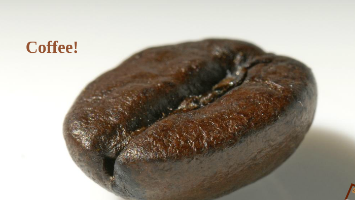 Anatomy of a Cup of Coffee from The Roasterie by Silvia Sánchez on Prezi