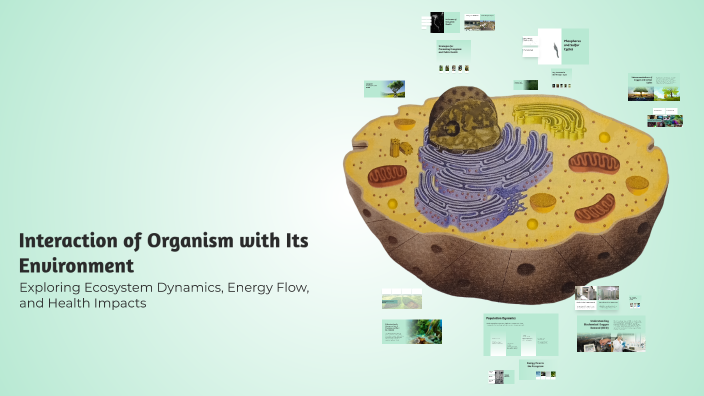 Interaction of Organism with Its Environment by Laurence Domingo on Prezi