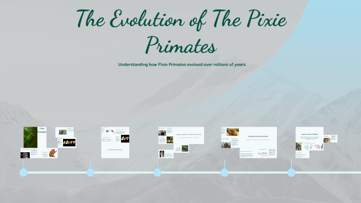 The Evolution of The Pixie Primates by Sebastian Croker on Prezi