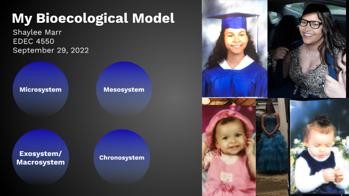 My Bioecological Model by Shaylee Marr on Prezi