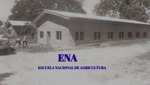 ORIGEN DE LA ENA by Sophia Molina on Prezi Design