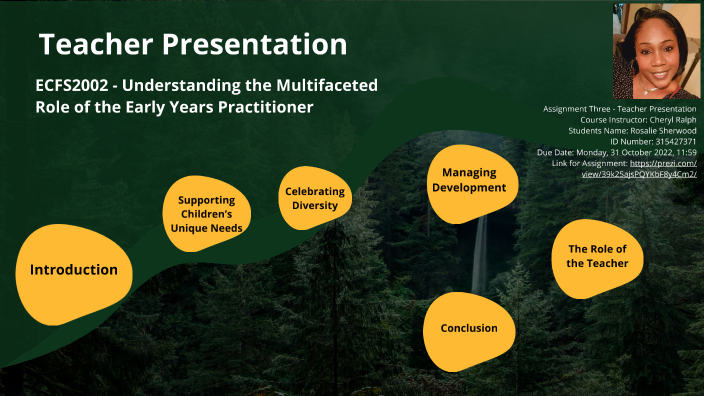 Understanding the Multifaceted Role of the Early Years Practitioner by ...