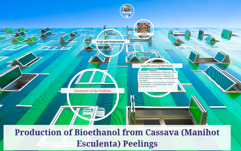 Production of Bioethanol from Cassava (Manihot Esculenta) Pe by lyra oh ...