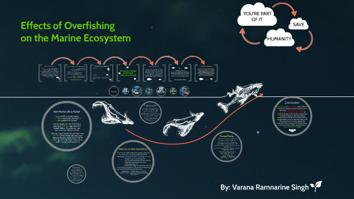 Effects of Overfishing on the Marine Ecosystem by Varana R. Singh on Prezi