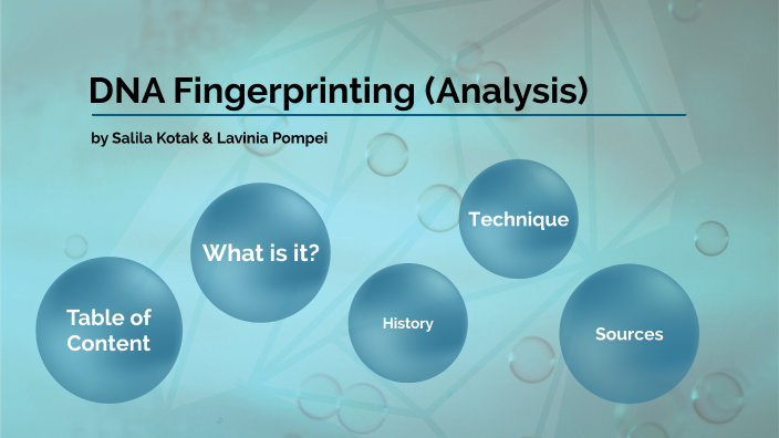 DNA Fingerprinting & Analysis by Lavinia Pompei on Prezi