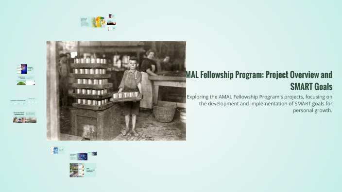 AMAL Fellowship Program: Project Overview and SMART Goals by Hira ...